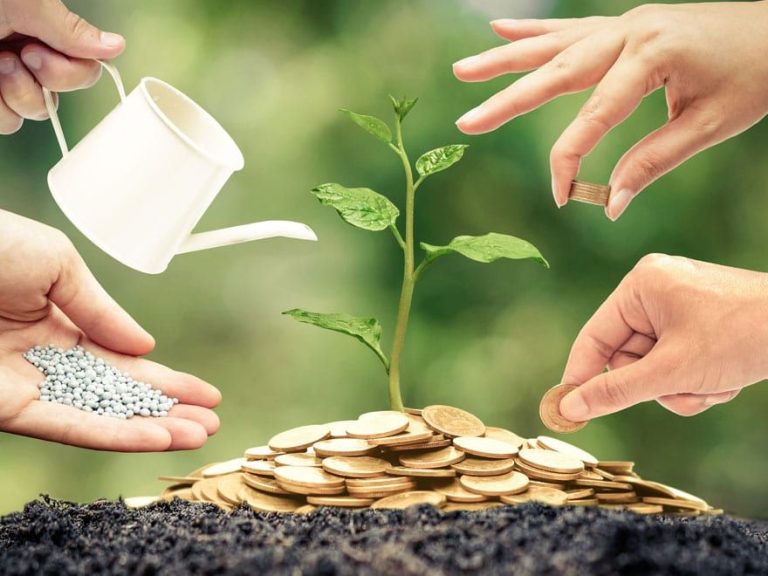 How Can Wealth Preservation Strategies Help Protect Your Assets?